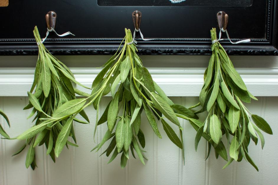 Sage - All The Amazing Things You Can Do With This Superherb — Aussie ...