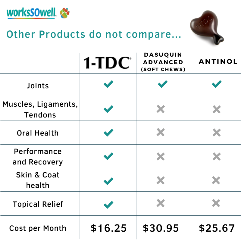 1-TDC Official Joint Supplement of IDS