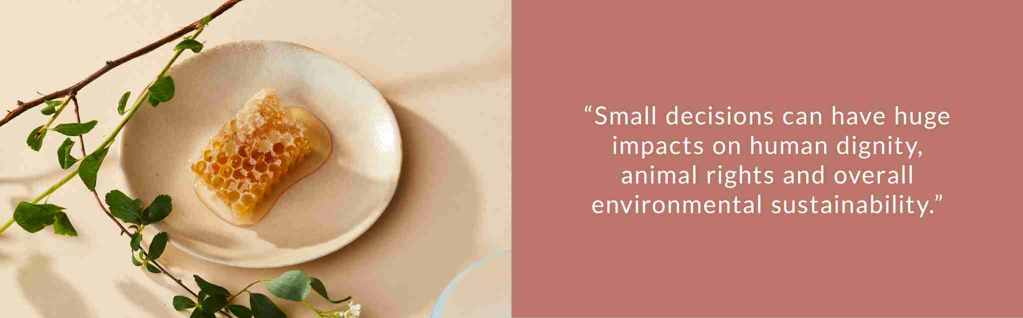 Small Decisions with Big Impact: Boom Ingredients | BOOM! Beauty by ...