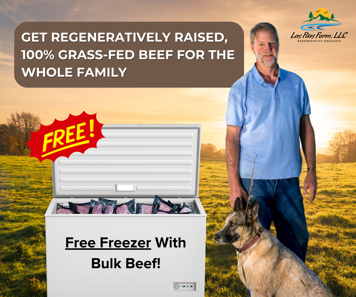 Bulk Beef Free Freezer Offer – Los Rios Farm Regenerative Organics
