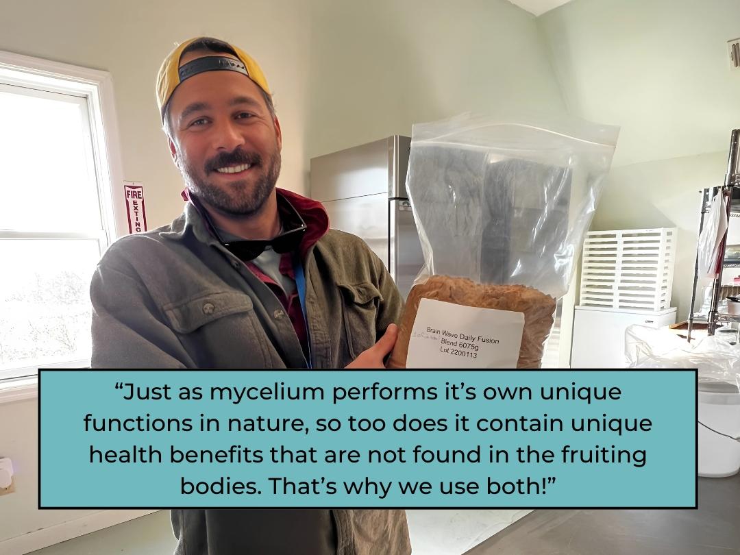 Why We Love Mushroom Myceloum