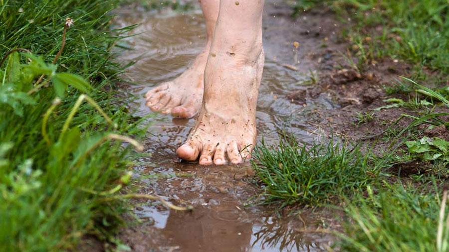 Leaf Flow Grounding Mat