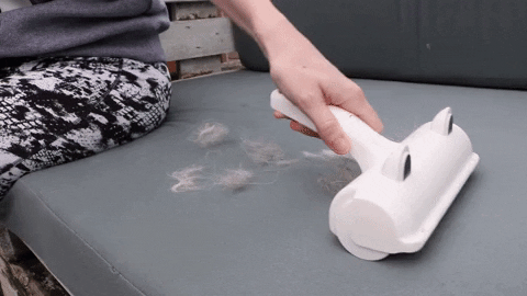 Perie Rolly pentru par de pisici si catei