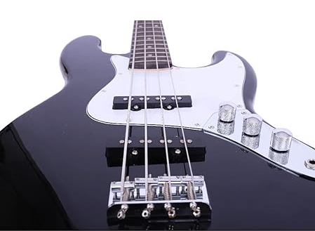 Best Bass Guitars Brands – BAJAAO.COM