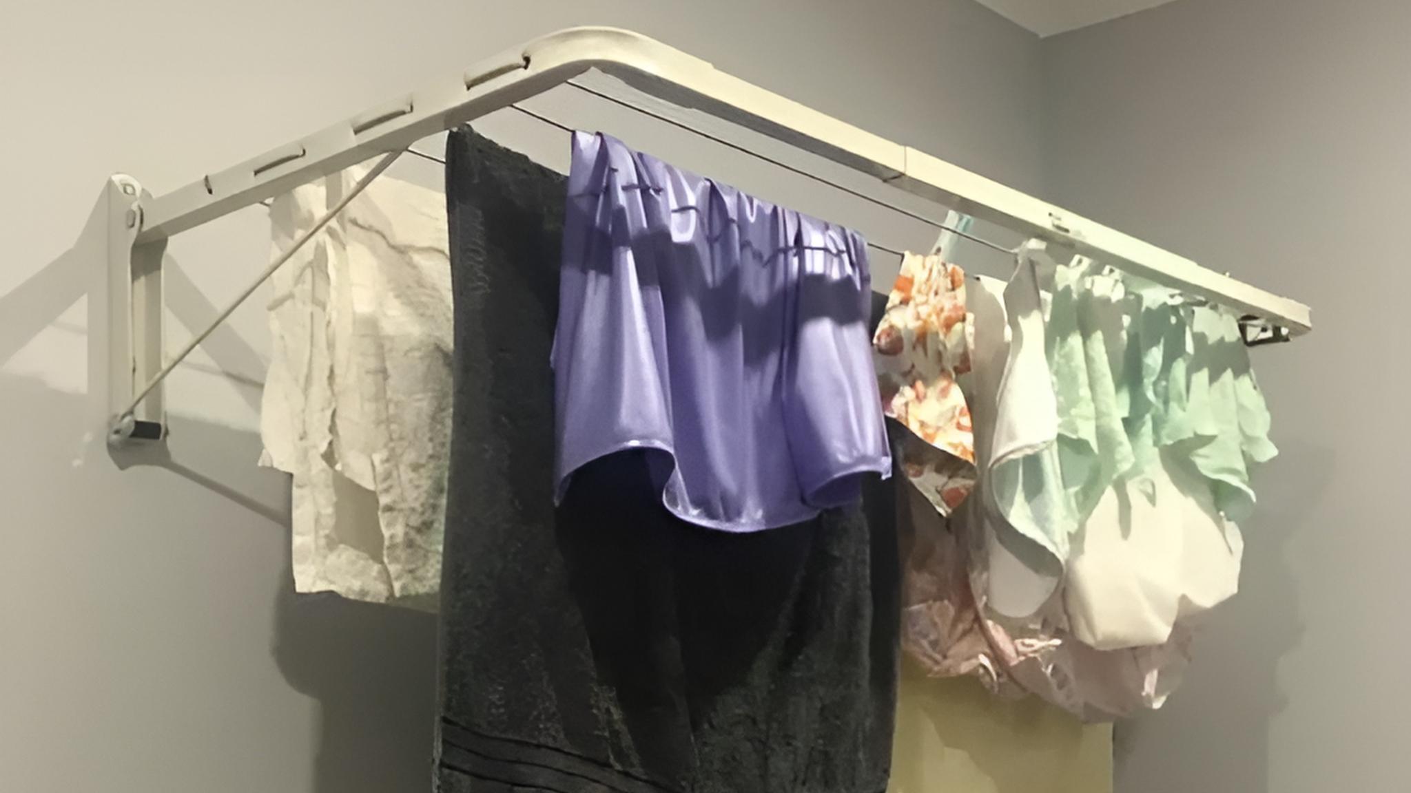 Inside Clothesline: A Showdown of the 7 Best Inside Clothesline Option ...