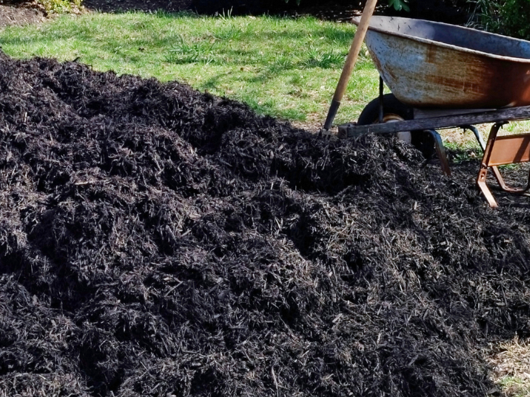 DAKOTA Peat Soil Enhancer