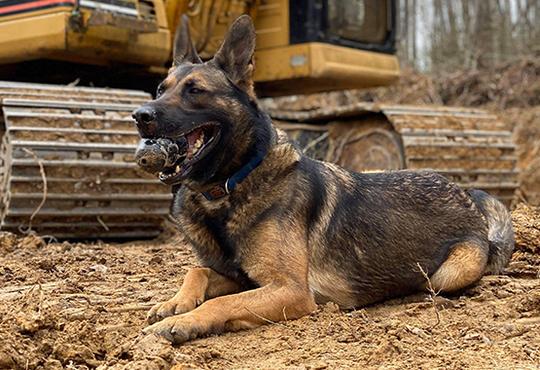Project K-9 Hero Capital Campaign