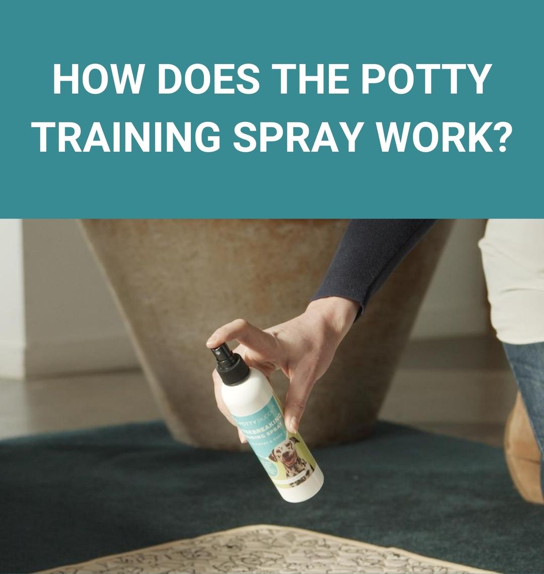 How Does The Potty Training Spray Work? - Potty Buddy™