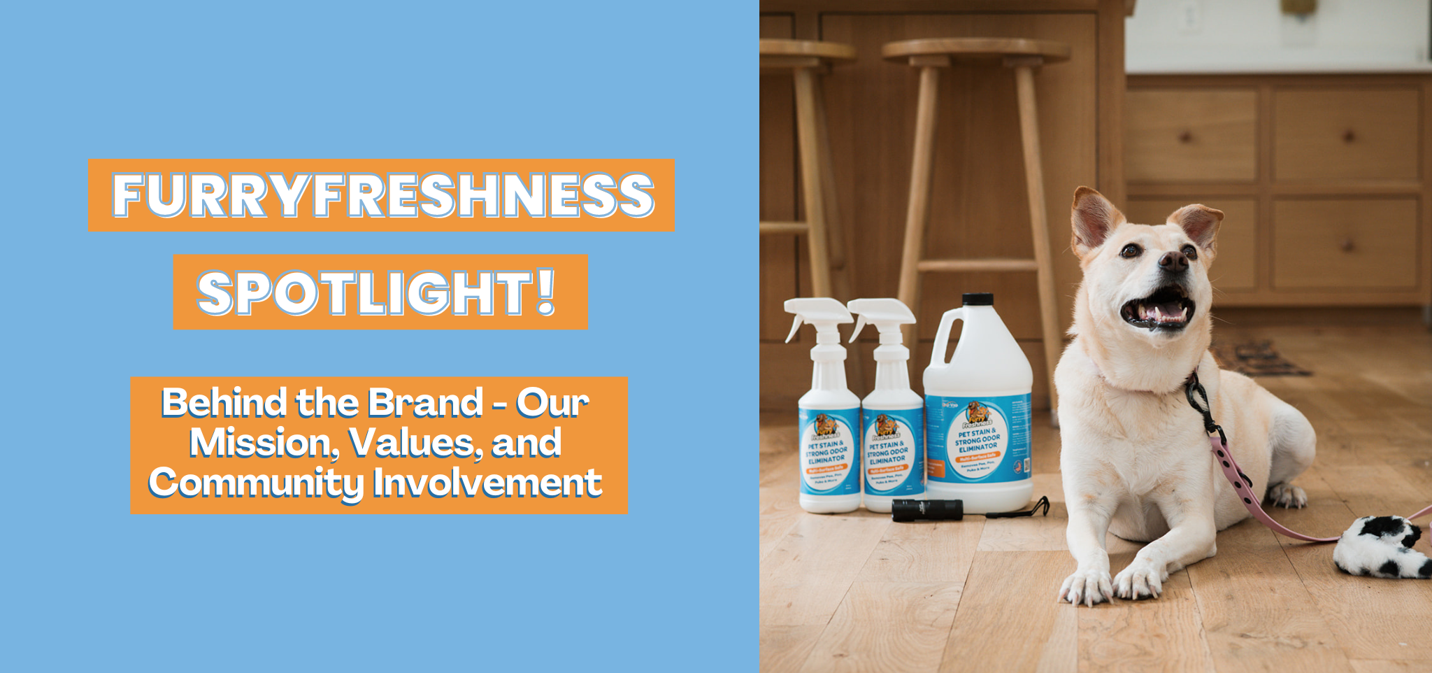 FurryFreshness Spotlight: Behind the Brand - Our Mission, Values, and ...