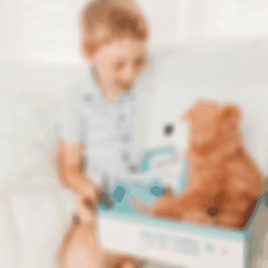 Book and Bear - Animal Book Subscription Box & Stuffy To Hand-Build