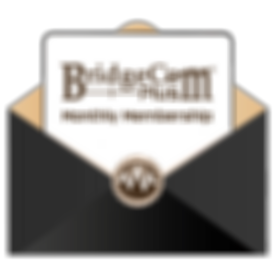 BridgeCom Plus Product Launch Page