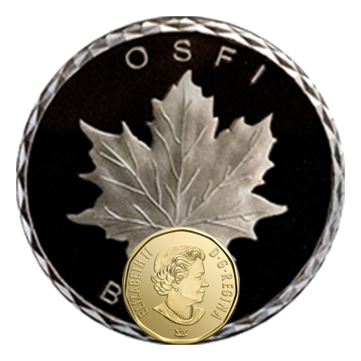 Canadian Armed Forces Challenge Coins - Strike Your Coin