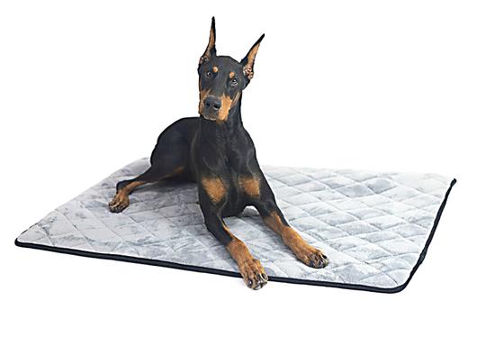 How to Protect Your Dog’s Bed & Keep It Smelling Fresh – 4Knines®
