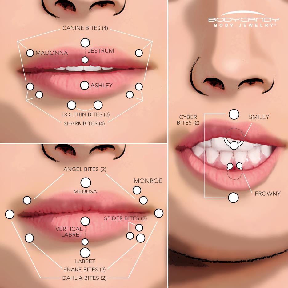 The Piercing Dictionary Facial And Lip Piercings