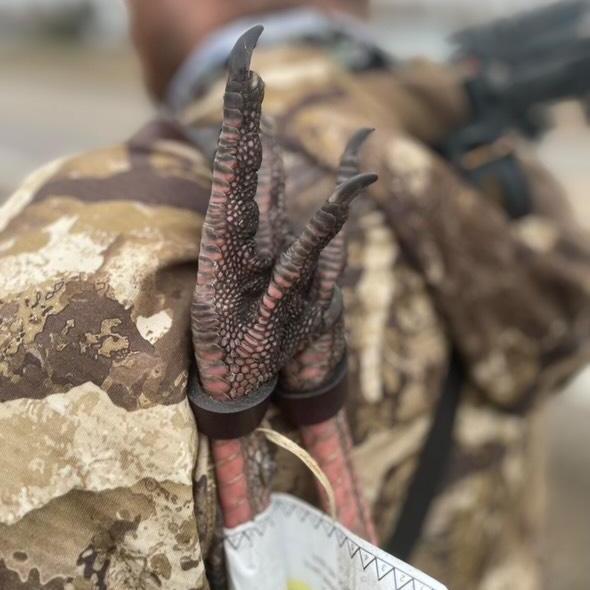 Leather Turkey Strap | RW Coolidge