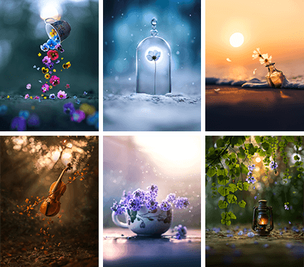 The Magical Photography Spellbook