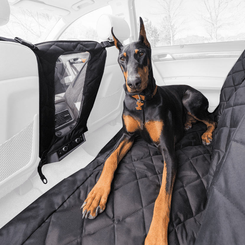 Must-Have Dog Items for Off-Roading – 4Knines®