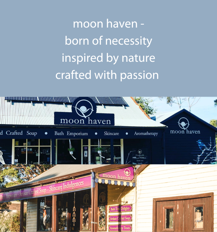 The Moon Haven Story