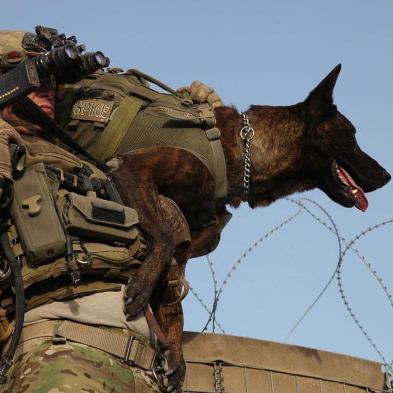 MPC Spike – Project K-9 Hero