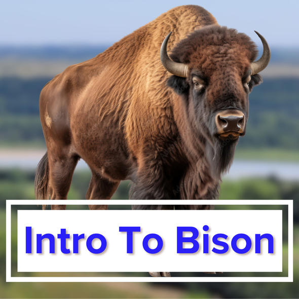 Riverview Bison