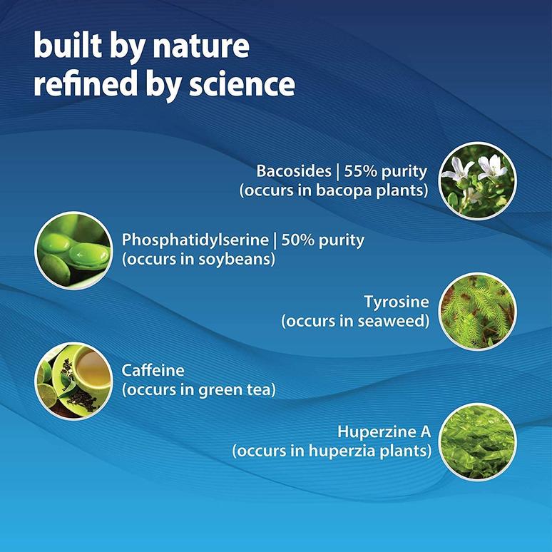 OptiMind Nootropic Energy Supplement – Alternascript