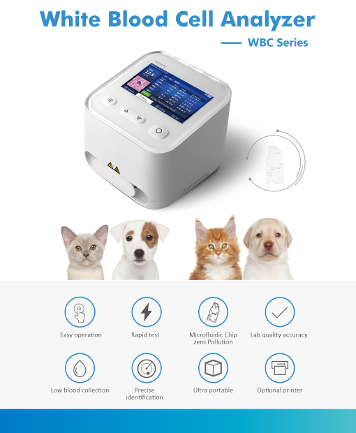 High white blood cell counts in dogs – CanineP4.com