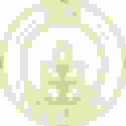 Fit Strong & Healthy | Premium Quality Sustainable Products