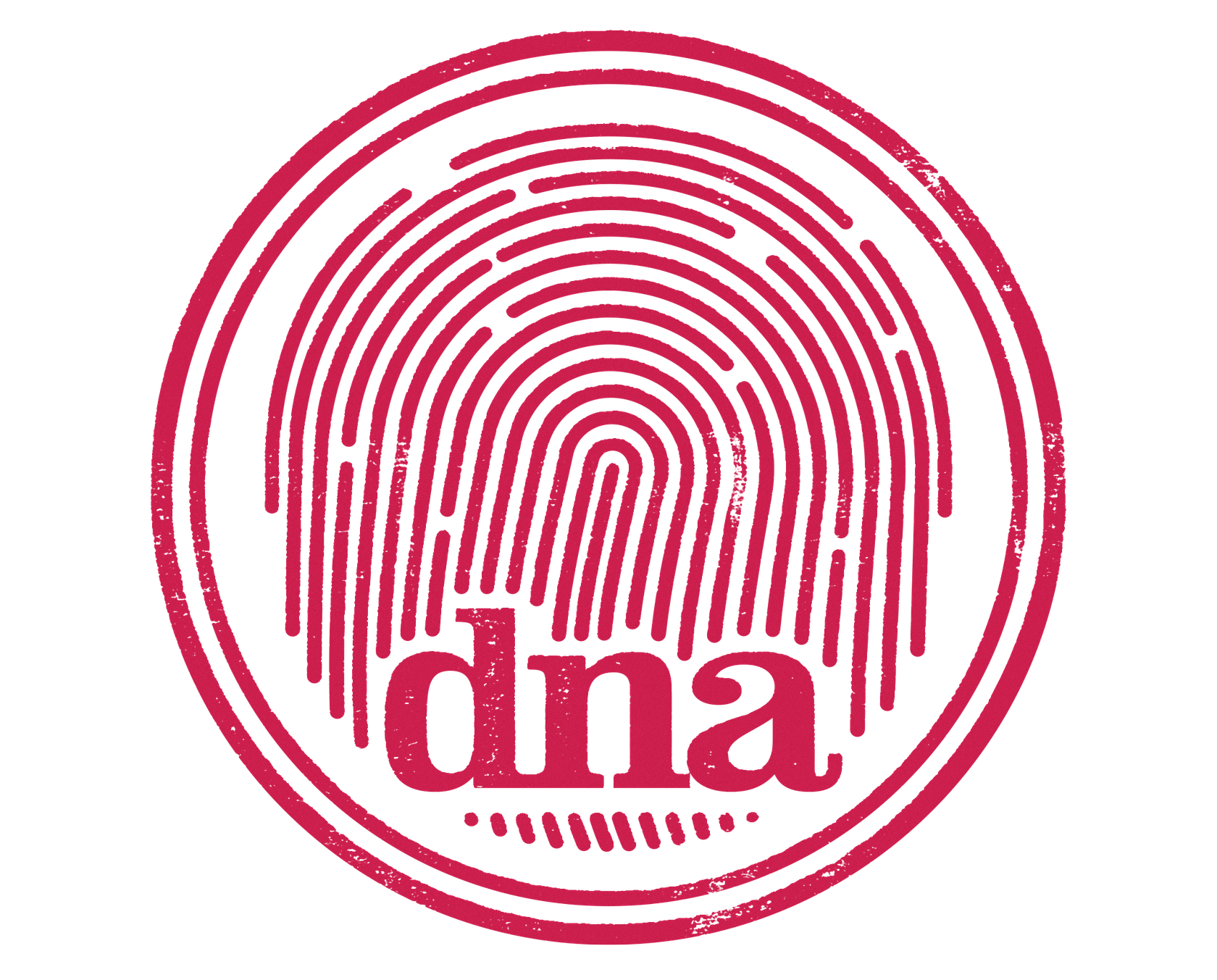 Discmania Mystery Box - Mystery Bistro – Discmania Store