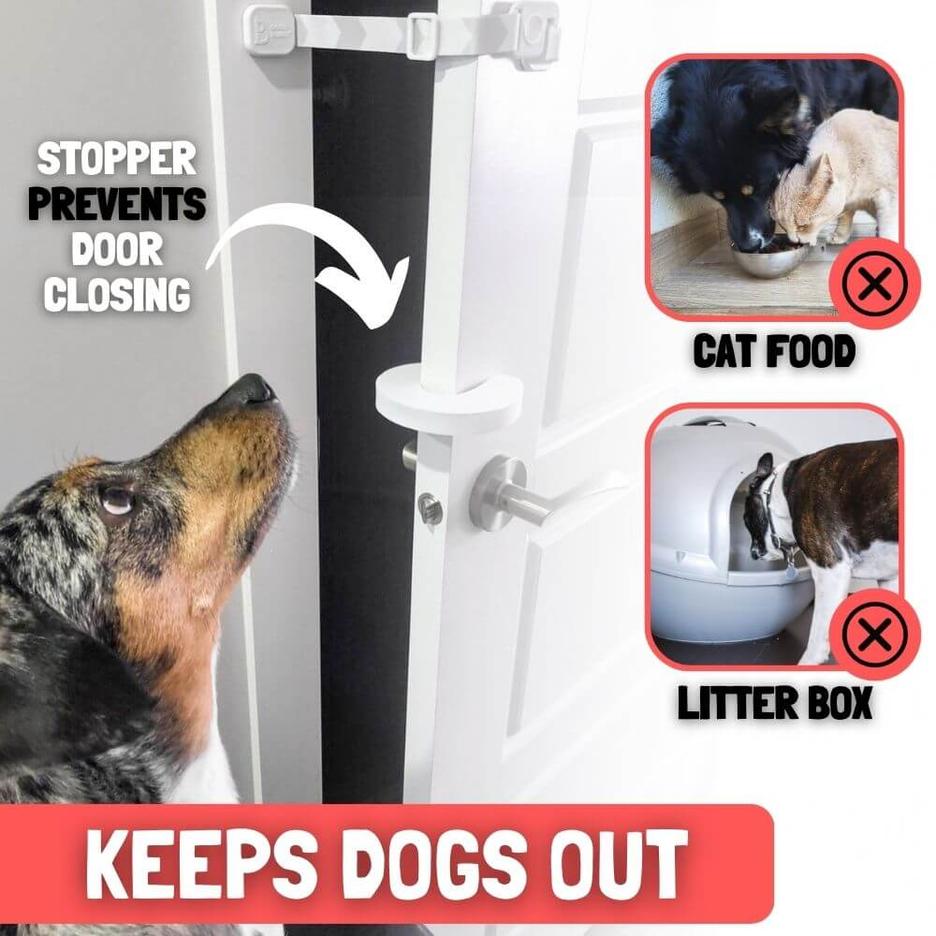 Door Buddy®: Door Latch Plus Door Stopper to Dog Proof Litter Box