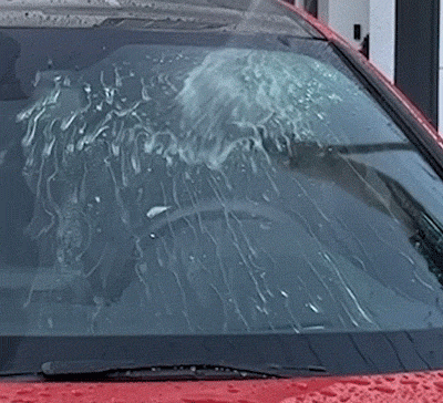 MAXL Method Complete System (NEWLY UPDATED!) - MAXL®