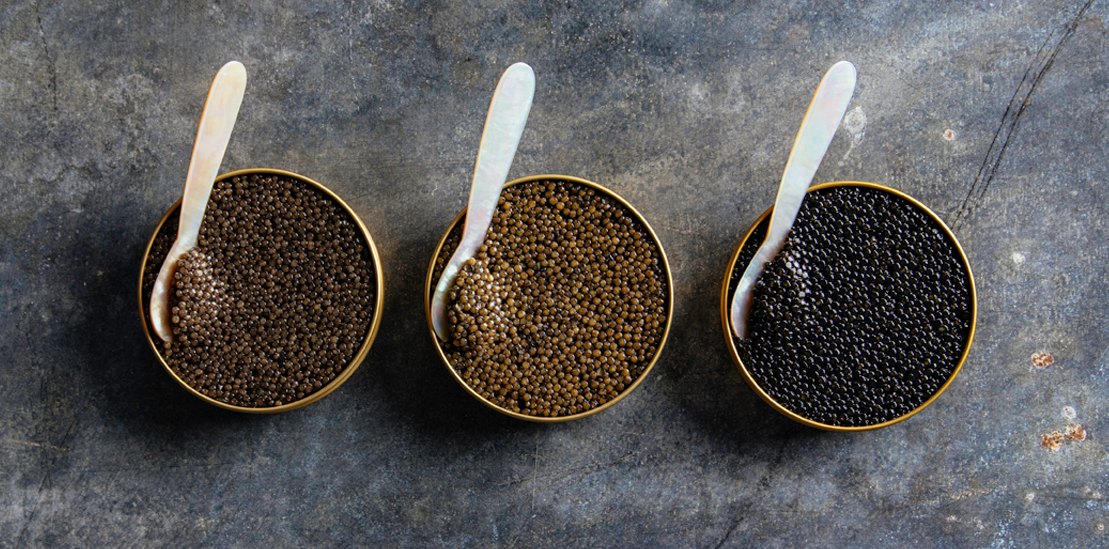 What Color Is Caviar? Unveiling the Enigma of Tones and Hue – Sterling Caviar