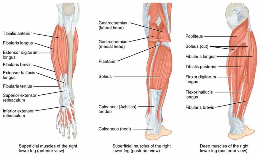 What Causes Leg Cramps at Night (and How to Prevent Them)