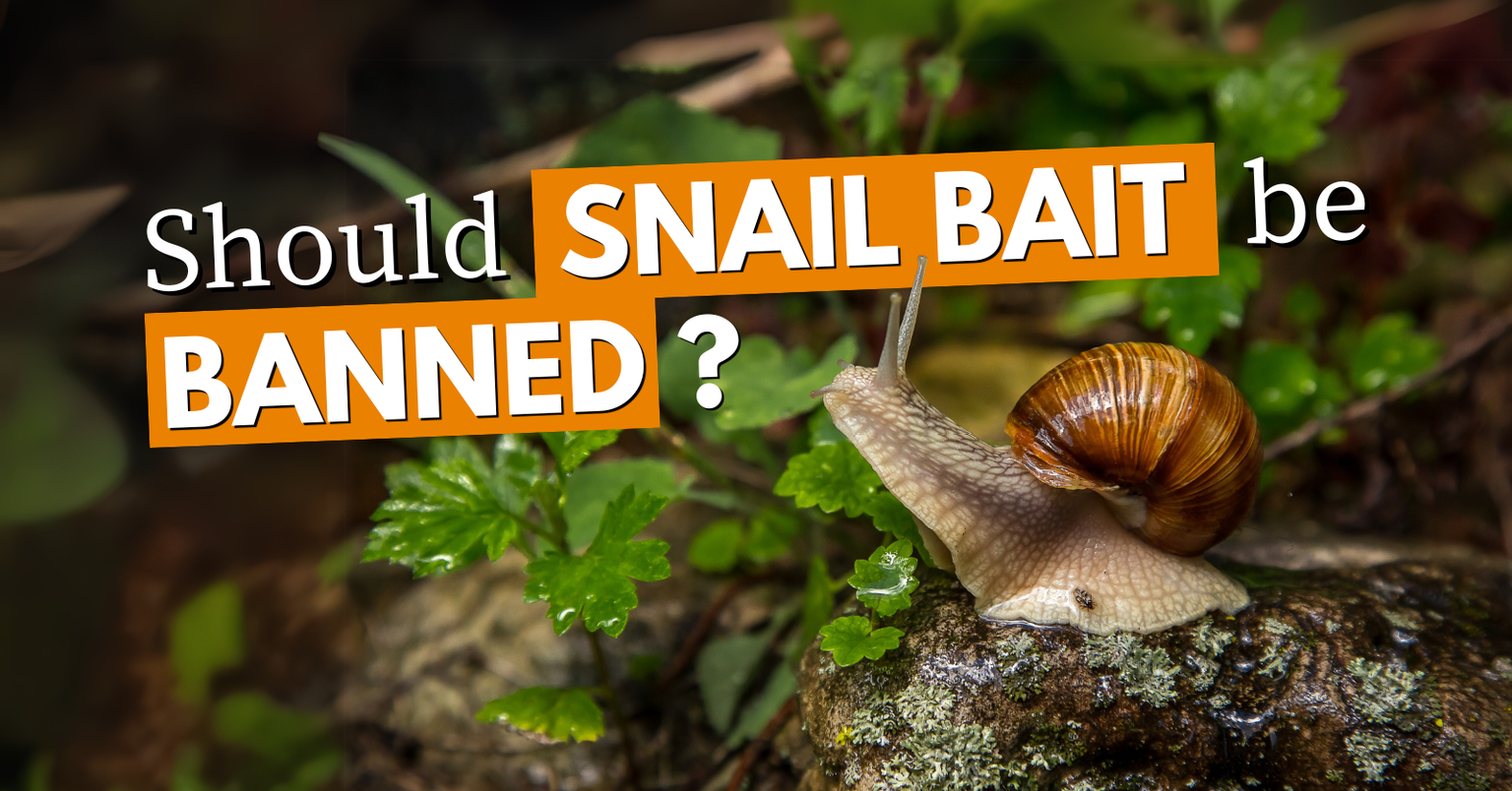 Should Snail Bait Be Banned? — Aussie Gardener