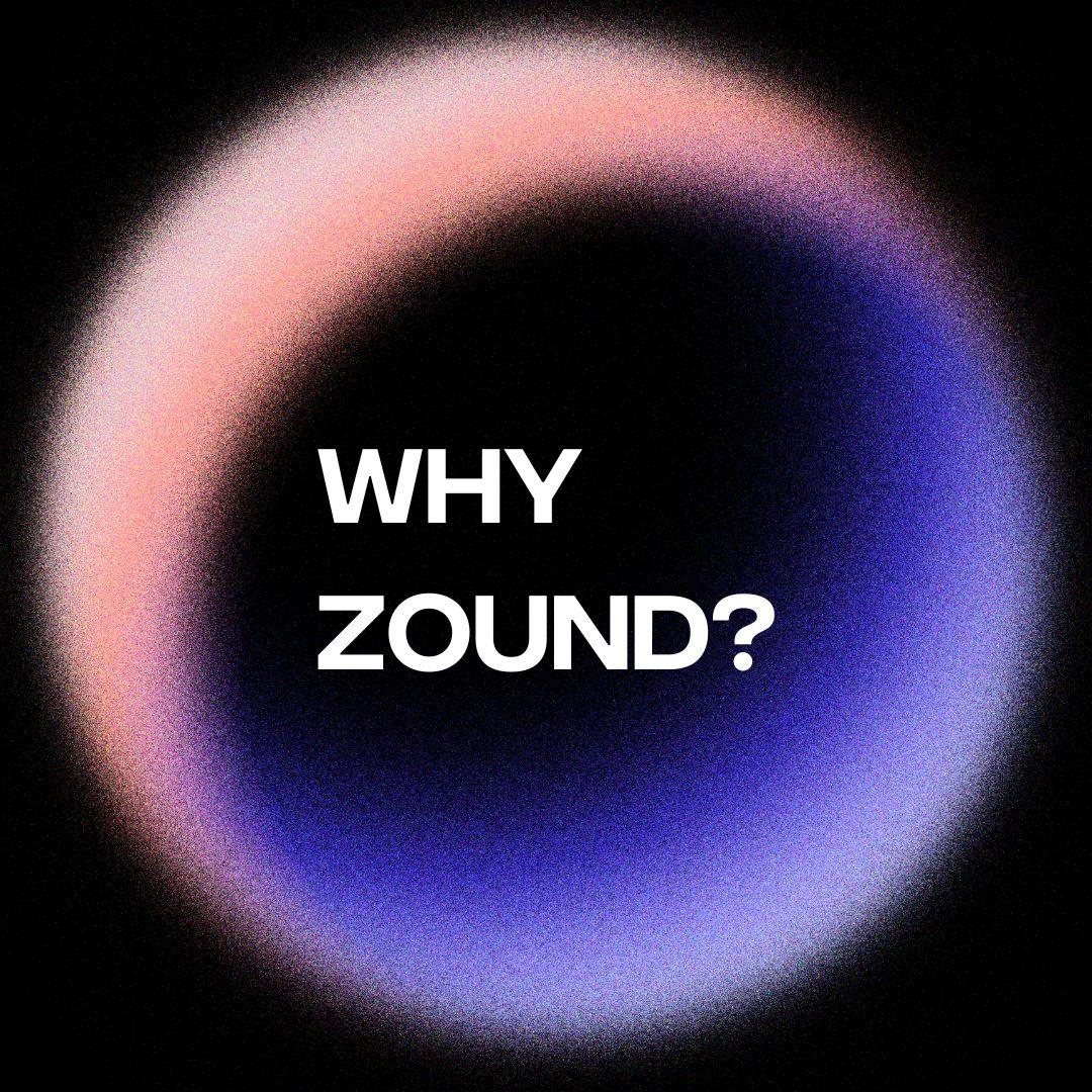 Zound Earplugs