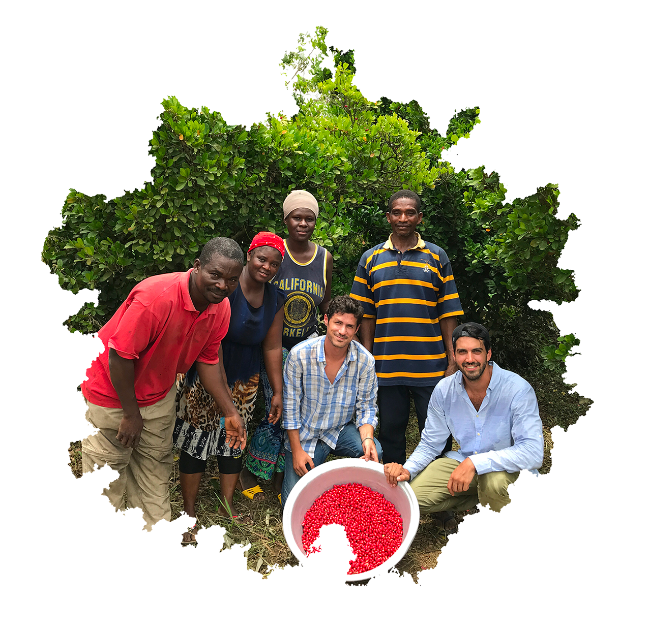 Masterchef Miraculin article – Baïa Food