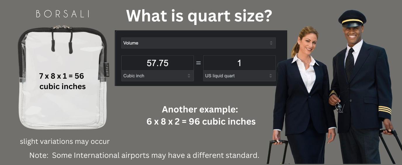 Clear Quart Size Bag -TSA Approved (2024)