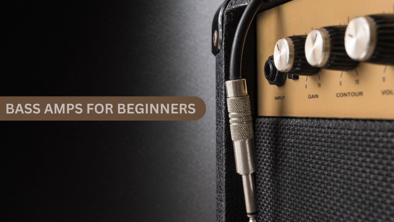 Best Practice Combo Bass Amps For Beginners – BAJAAO.COM