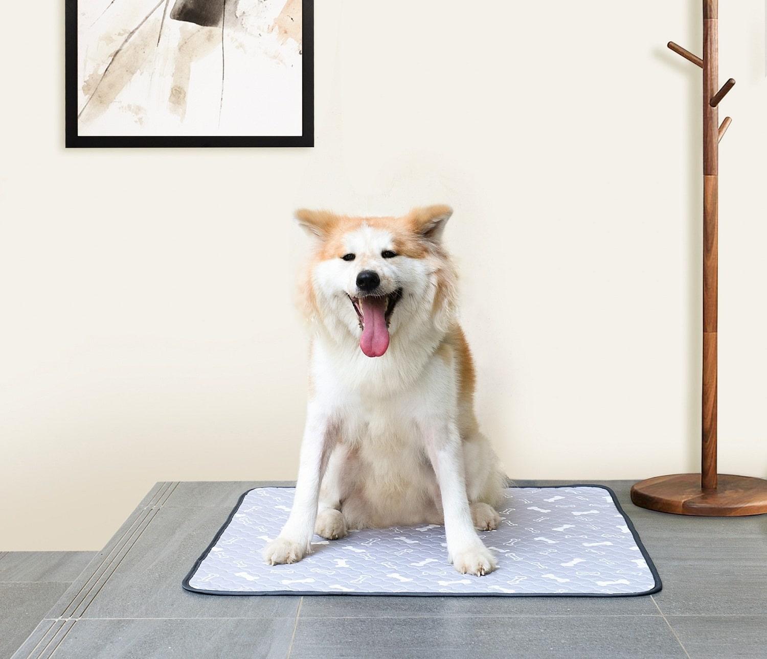 Potty Buddy™ - The Durable Leak-Free Potty Pad