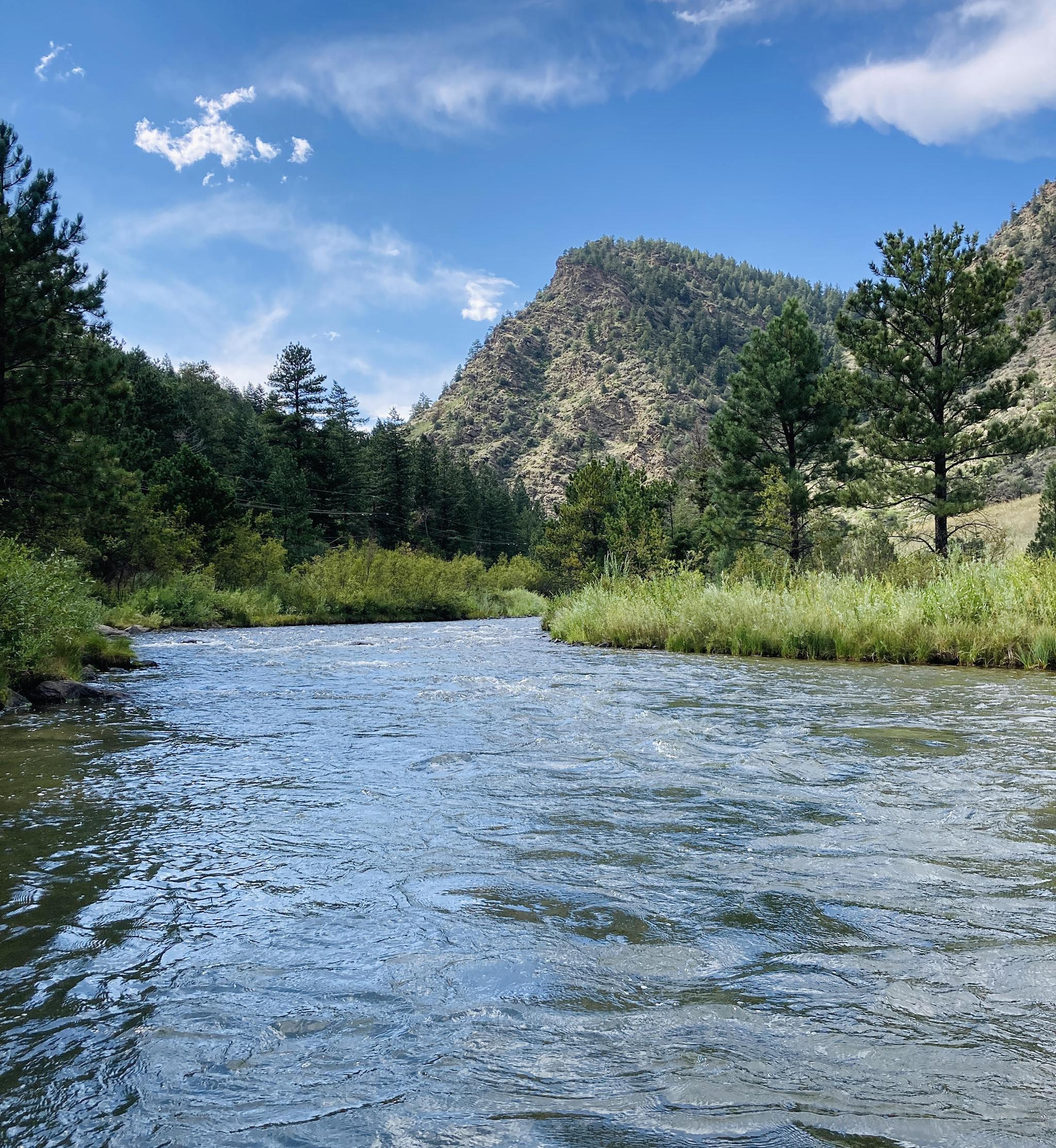 Freestone & Tailwater & Spring Creeks – Togens Fly Shop