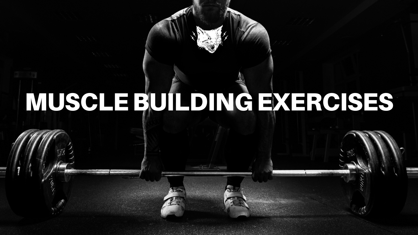 The Top 7 Muscle Building Exercises – Black Magic Supply
