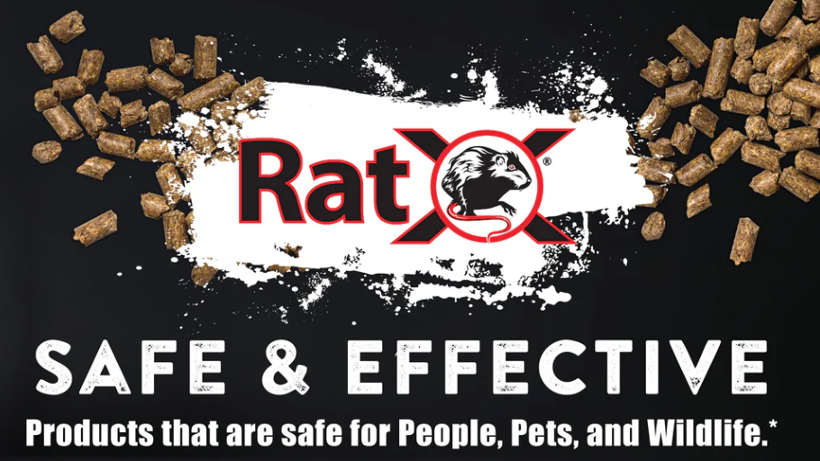 RatX Landing Page 2024