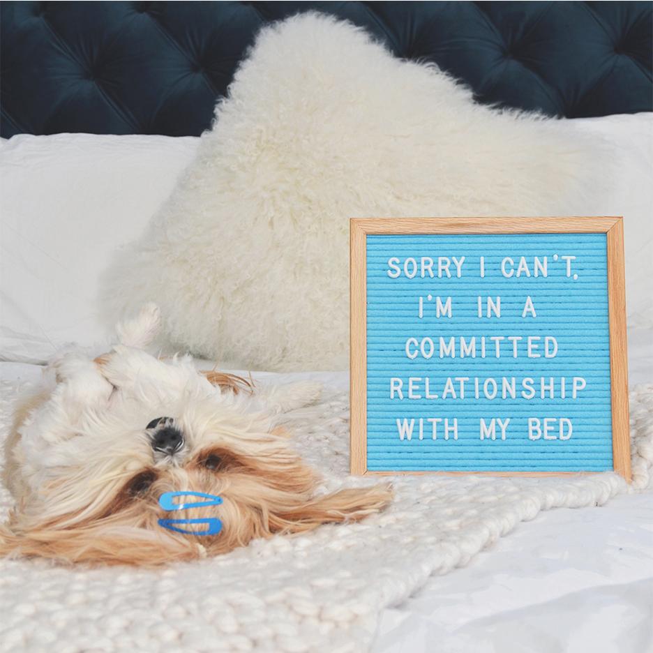 Premium Light Blue Felt Letter Board - 10x10 Inches