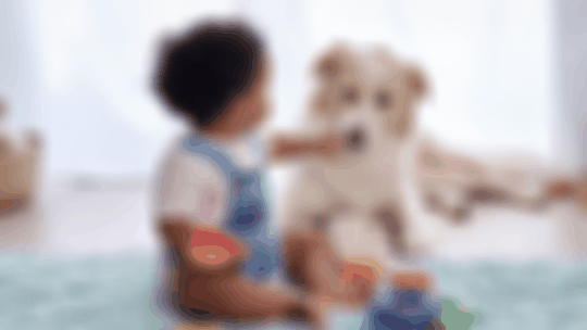 How to Teach your Child to be Kind to Pets – Door Buddy