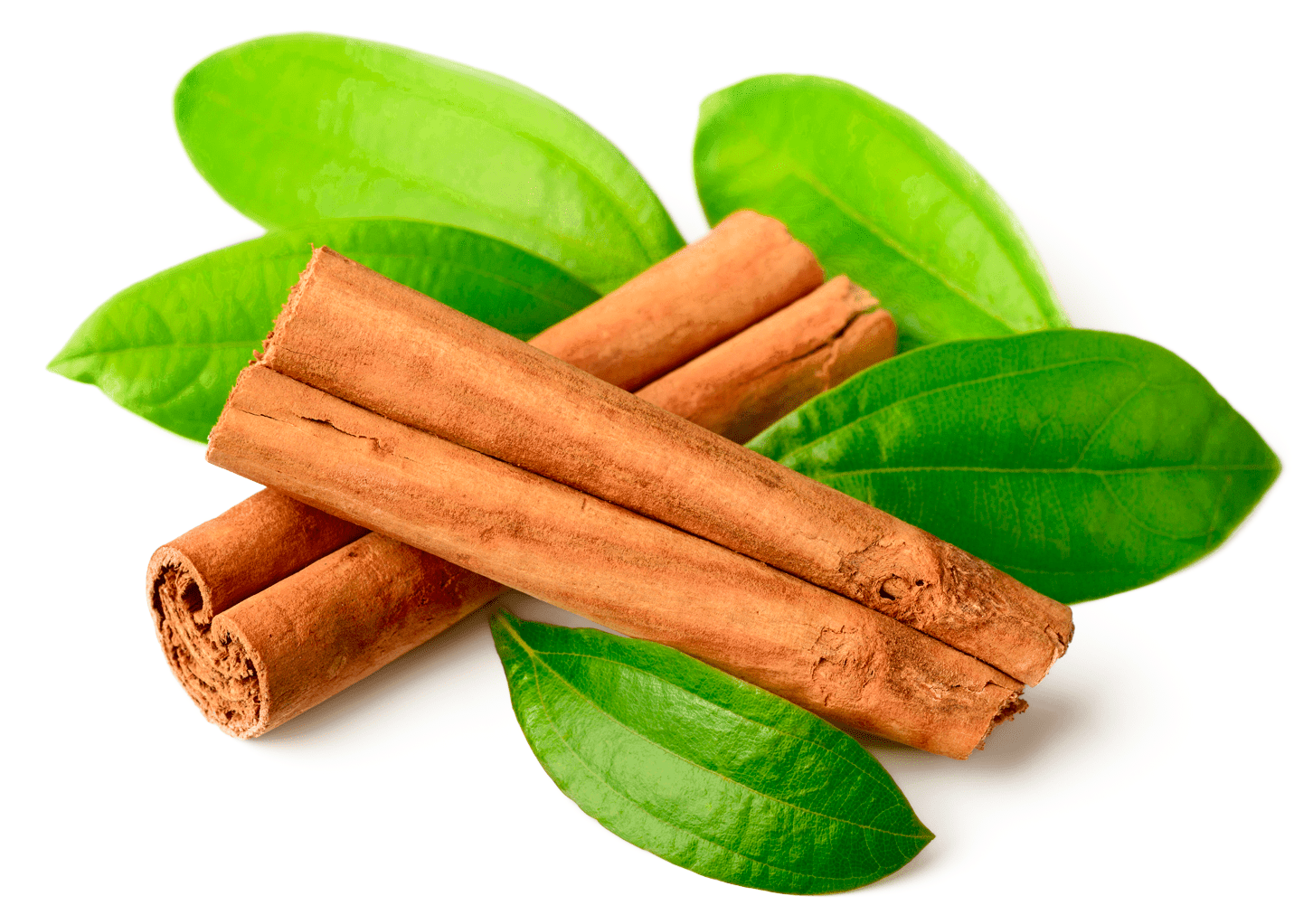 3) Supports Brain Health