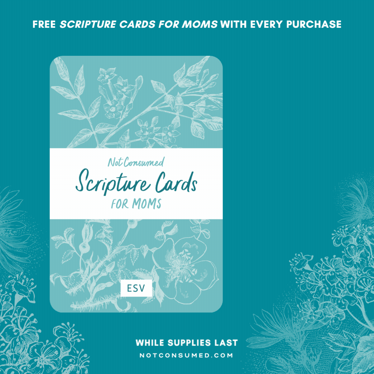 Not Consumed Sales & Special Offers!