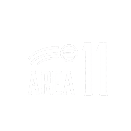 Area 11