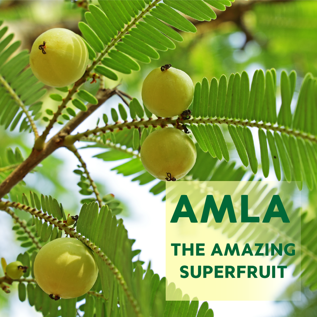 Ayuttva Amla Gummies