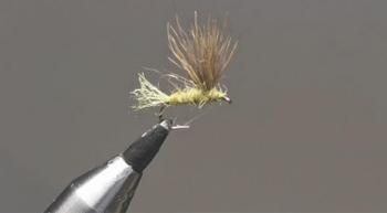 Blue Winged Olives Nymphs – Togens Fly Shop
