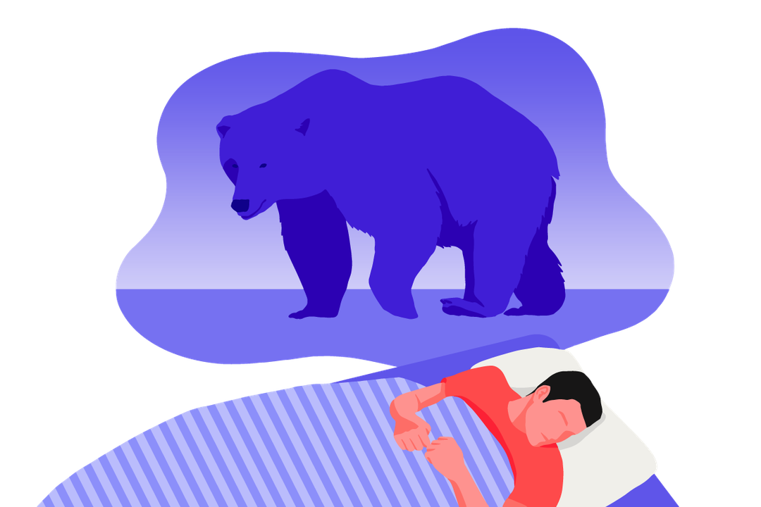 Bear Chronotype Schedule: Find Out if You Have One & How to Use It to ...