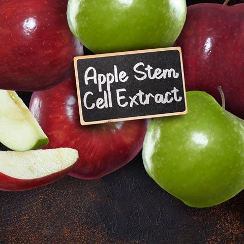 Precision Hair Growth Serum | Ingredients – Kerotin